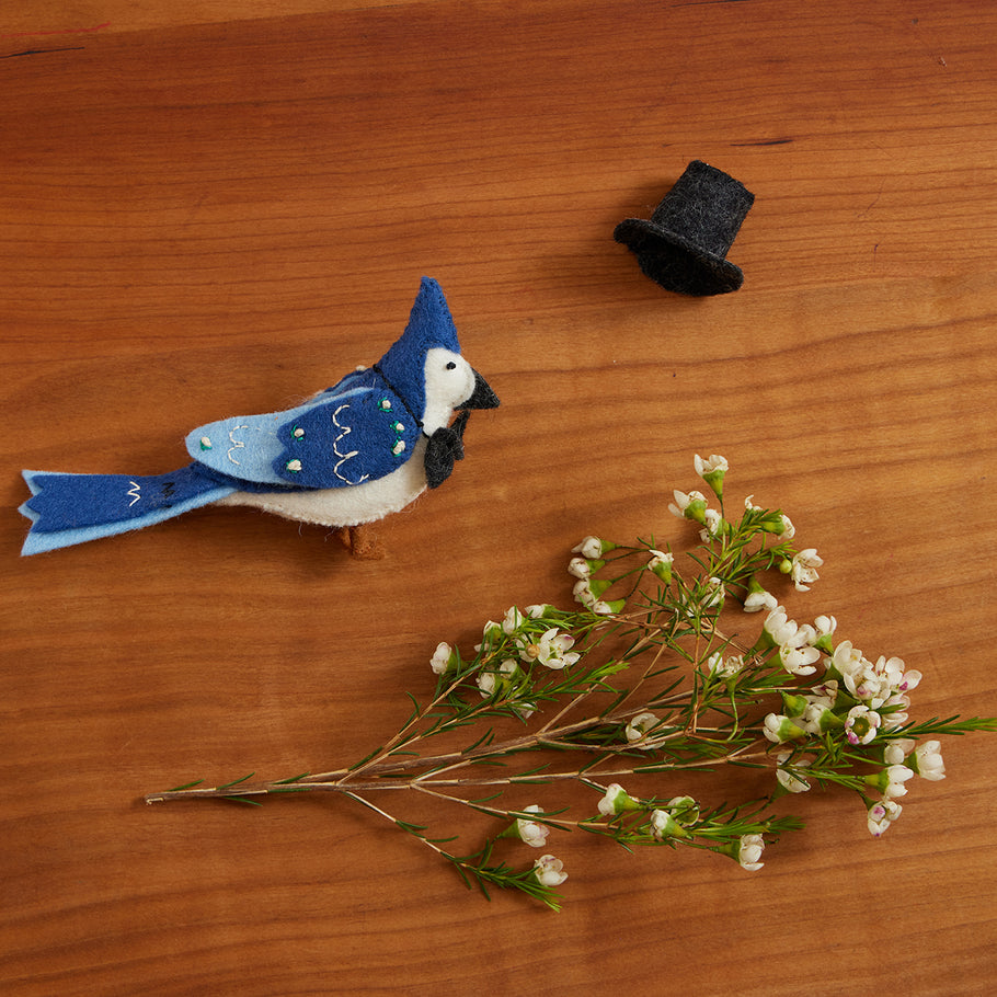 DIY Blue Jay Pattern Download – Craftspring