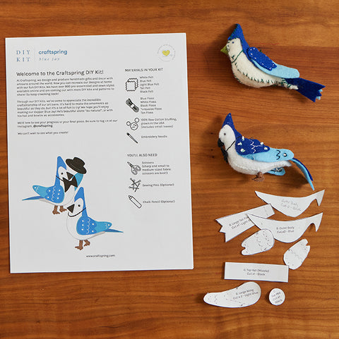 DIY Blue Jay Pattern Download – Craftspring