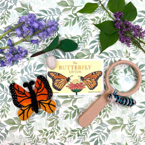 Hand Needle Felted Life Cycle of an Orange Monarch Butterfly Learning ...